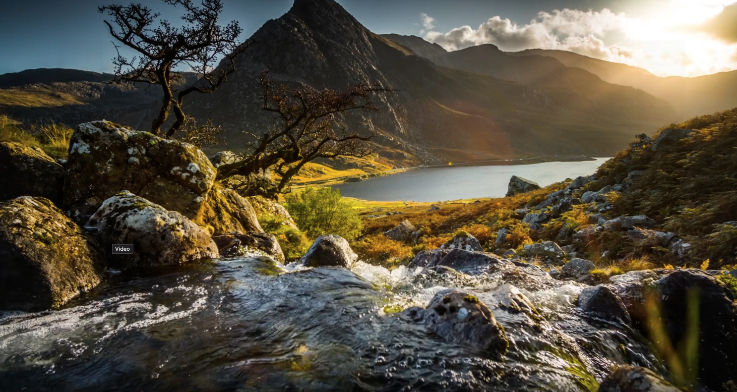 EFI Global acquires the business and assets of Artemis Milieu BV in Belgium | Sedgwick